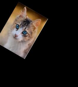 How to do Similarity Transformation in OpenCV Python - AiHints