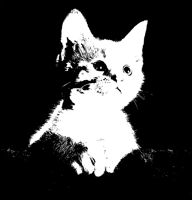How To Convert Grayscale Image To Binary Image In Opencv Aihints Vrogue